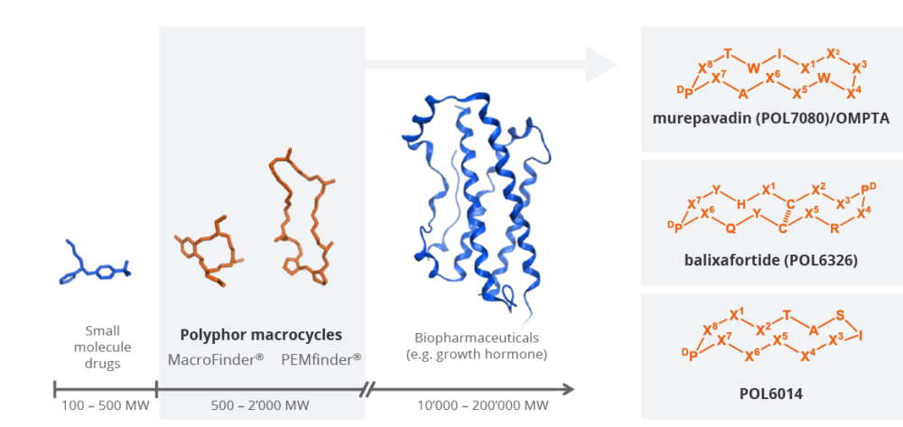 Macrocycle discovery platform – Spexis